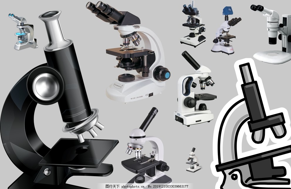 显微镜图片_其他_其他-图行天下素材网